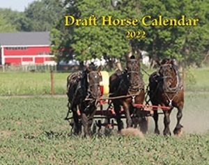 Draft Horse Super Store